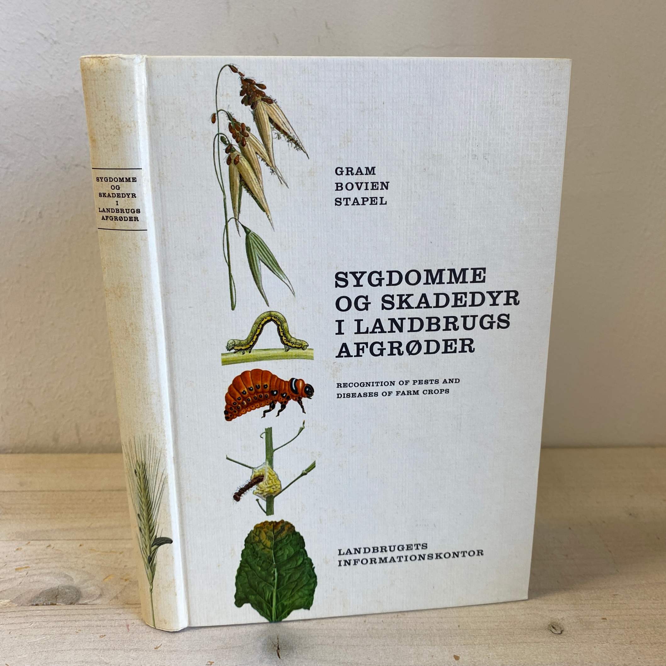 Gram, Bovien og Stapel - Sygdomme og skadedyr i landbrugsafgrøder | Køb ...