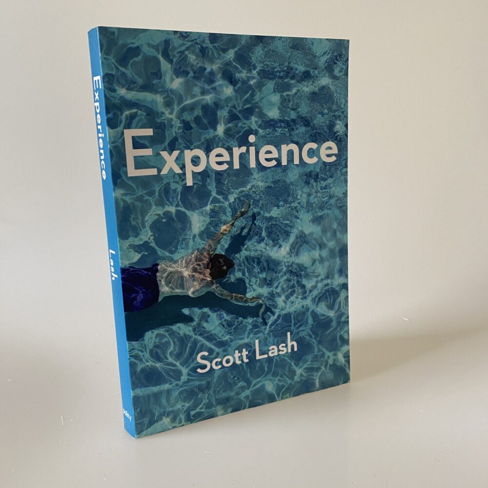 Scott Lash: Experience - New Foundations for the Hunan Sciences | Køb ...