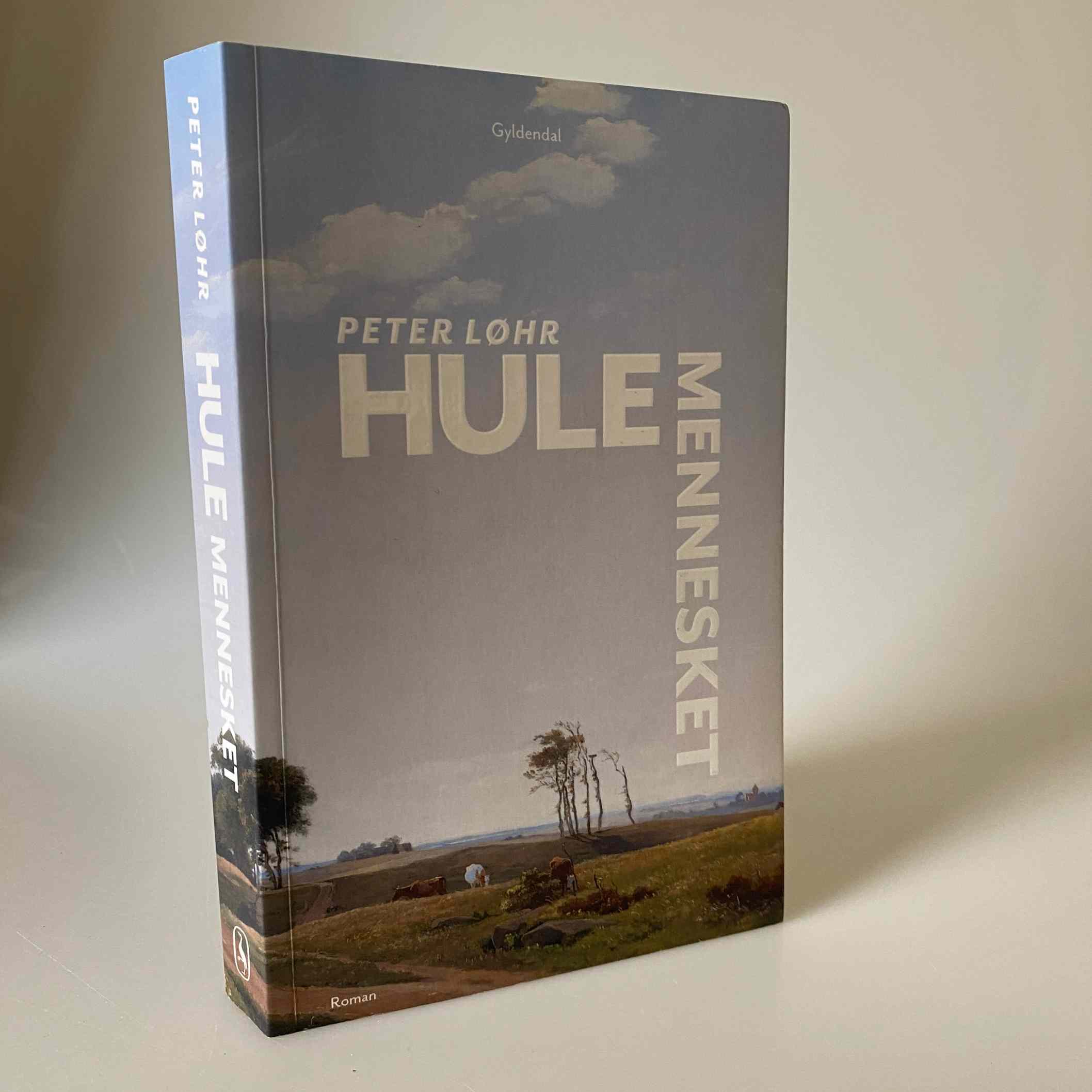 Peter Løhr: Hulemennesket - roman | Køb brugt her - BogGaragen.dk