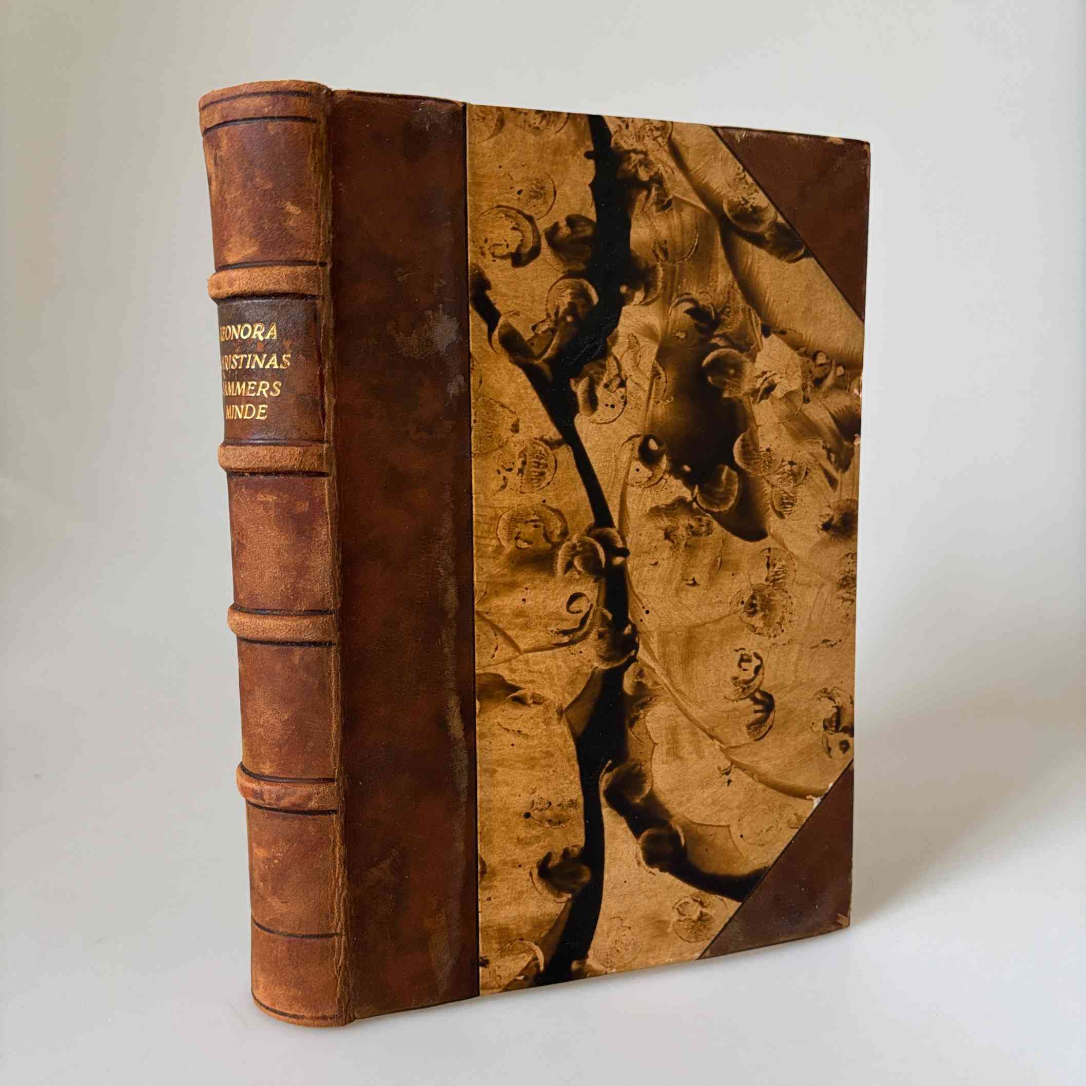 Grevinde Christina Leonora: Jammers Minde - tilrettelagt som ...