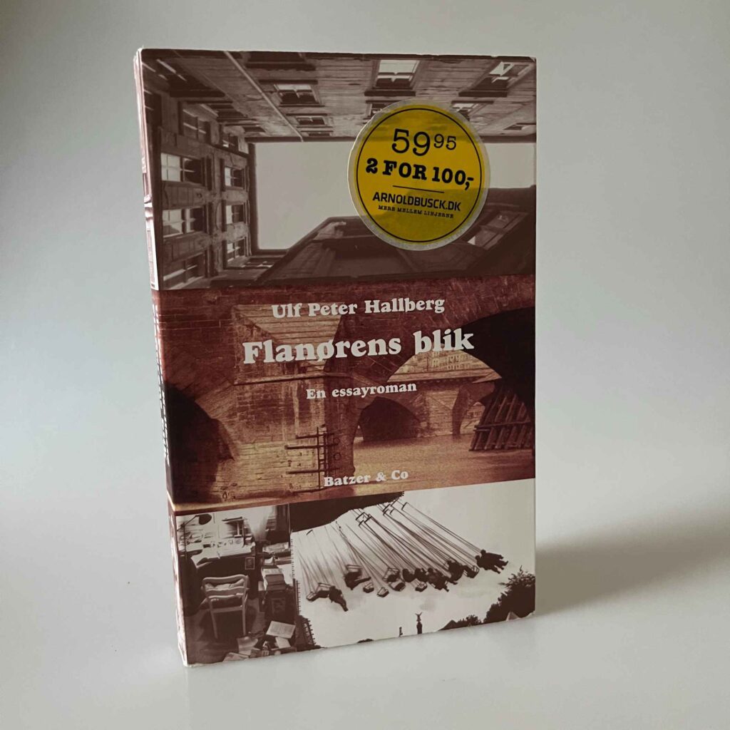 Ulf Peter Hallberg: Flanørens blik - Essayroman | Køb brugt her - BogGaragen.dk