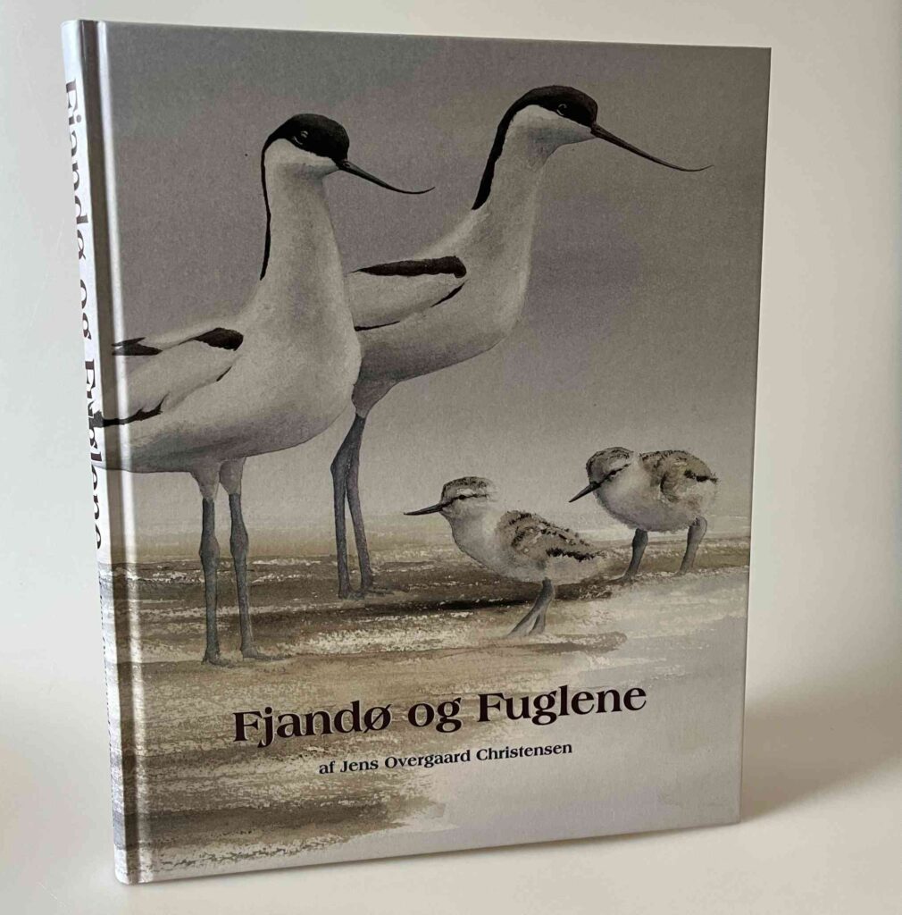 Jens Overgaard Christensen: Fjandø og fuglene | Køb brugt her ...