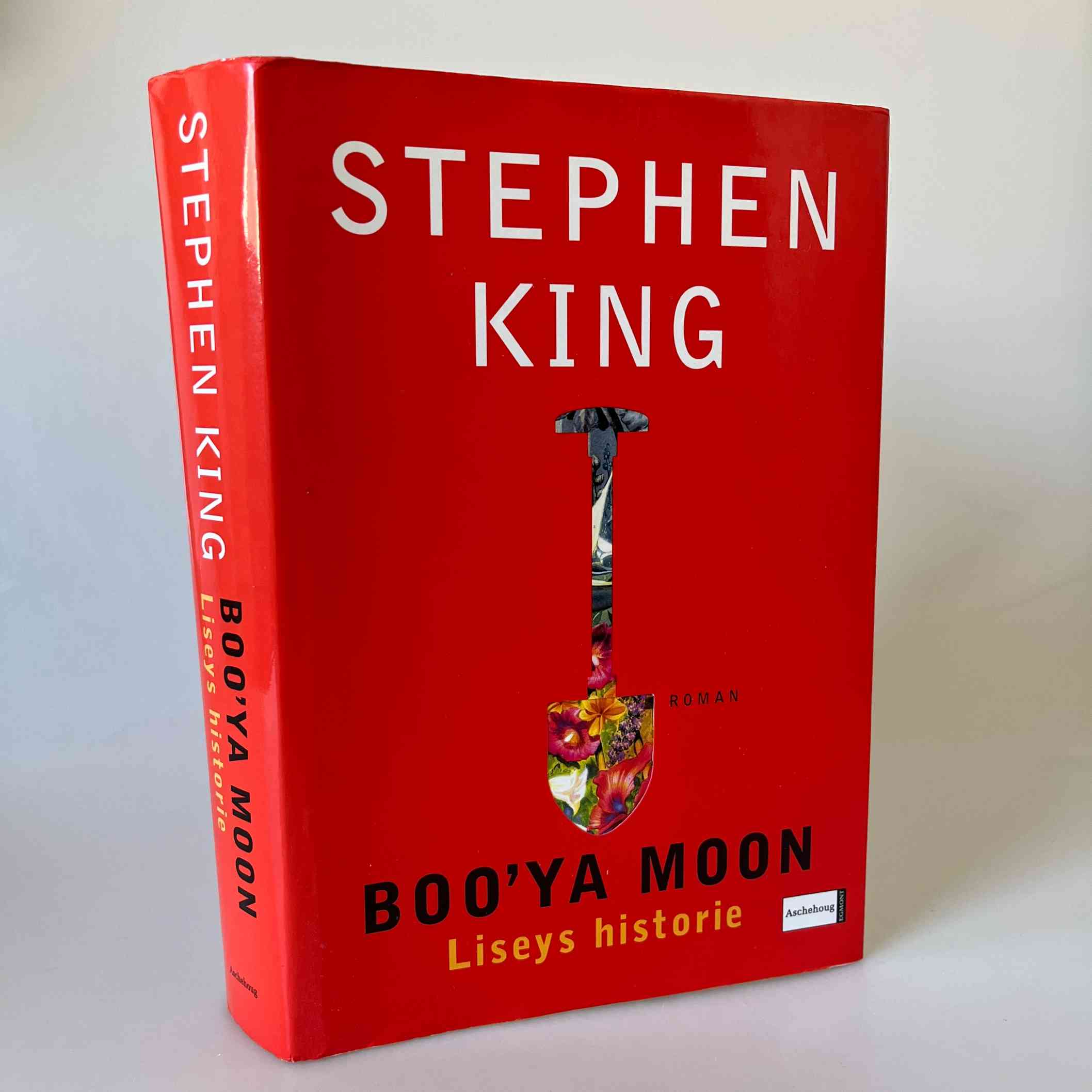 Stephen King: Boo'ya Moon - Liseys historie | Køb brugt her - BogGaragen.dk