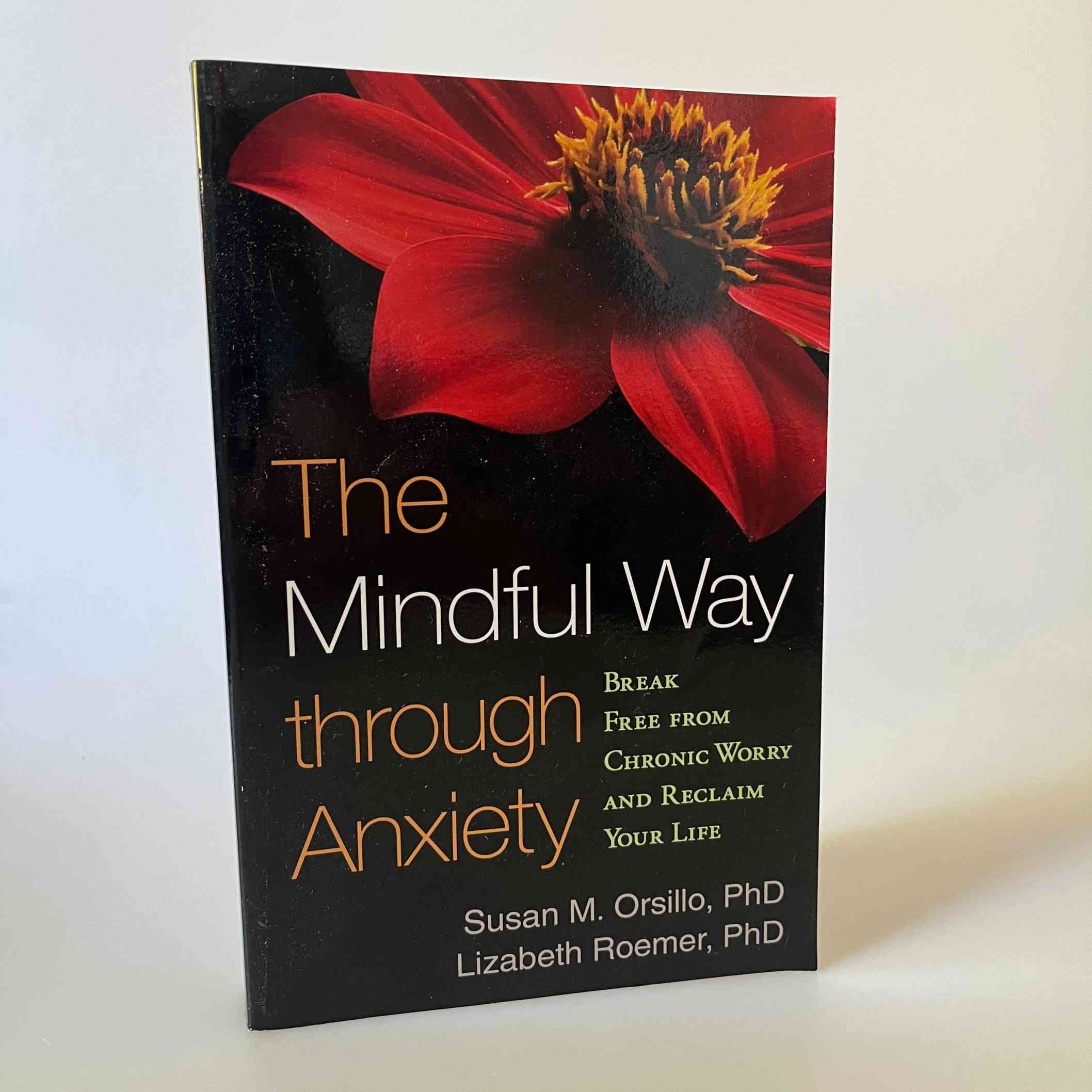 Susan M. Orsillo og Lizabeth Roemer: The Mindful Way through Anxiety ...