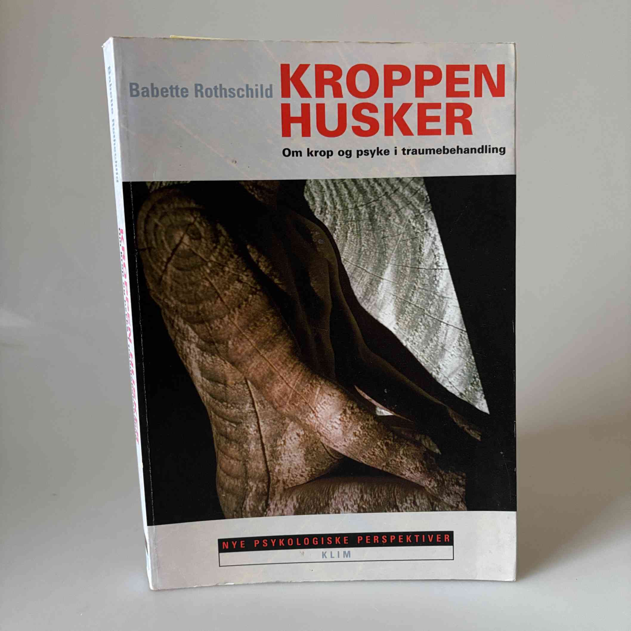 Babette Rothschild: Kroppen husker - om krop og psyke i traumebehandling | Køb brugt her ...