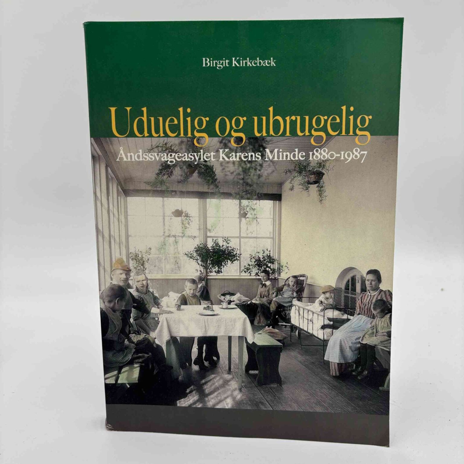 Birgit Kirkebæk: Uduelig og ubrugelig - Åndssvageasylet Karens Minde 1880-1987 | Køb brugt her ...